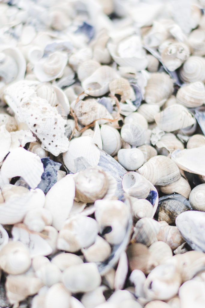 Gothenburg Archipelago, a hidden gem in Sweden | Epepa Travel Blog