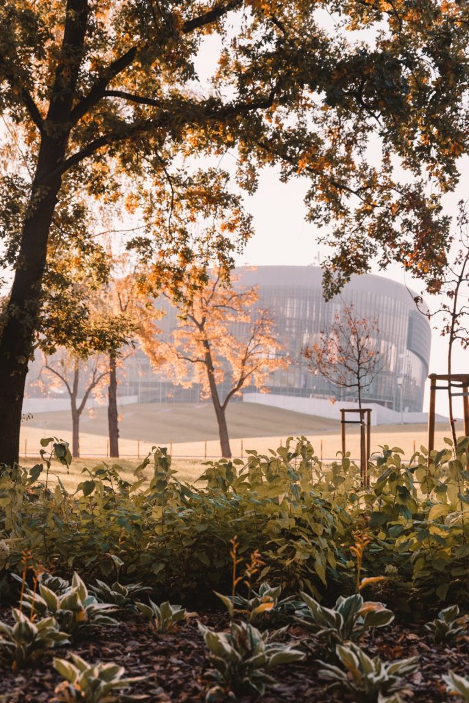 Top 10 best things to do in Gliwice, Poland | Epepa Travel Blog