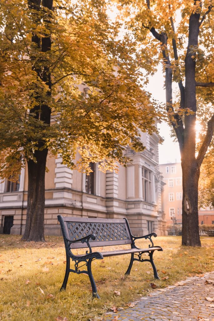 Top 10 best things to do in Gliwice, Poland | Epepa Travel Blog