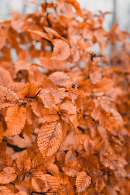 An autumn weekend in Warsaw, Poland | Epepa Travel Blog