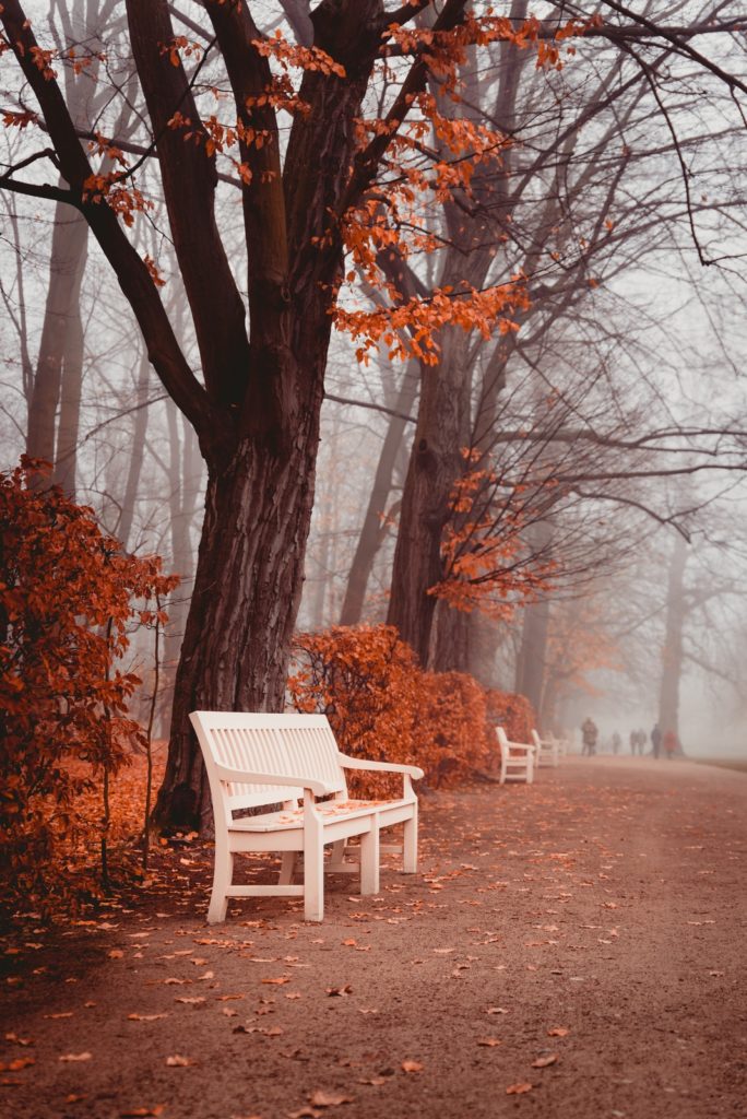 An autumn weekend in Warsaw, Poland | Epepa Travel Blog