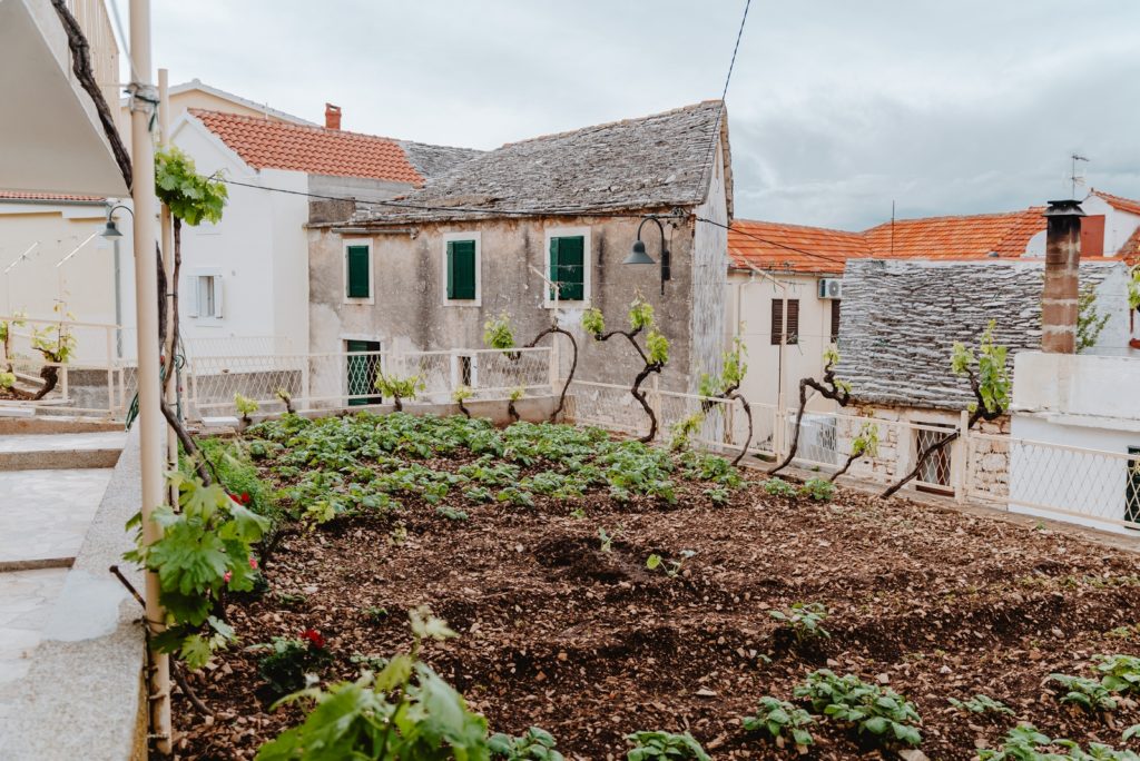 Things to do in Primošten, Croatia | Epepa Travel Blog