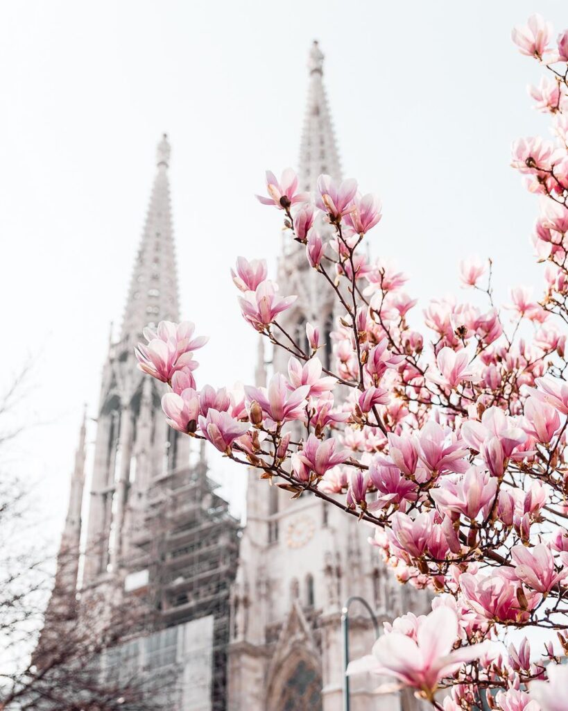 Top 15 most instagrammable spots in Vienna, Austria | Epepa Travel Blog